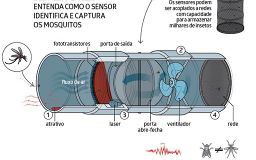 Inseticida seletivo - Revista Galileu | Revista