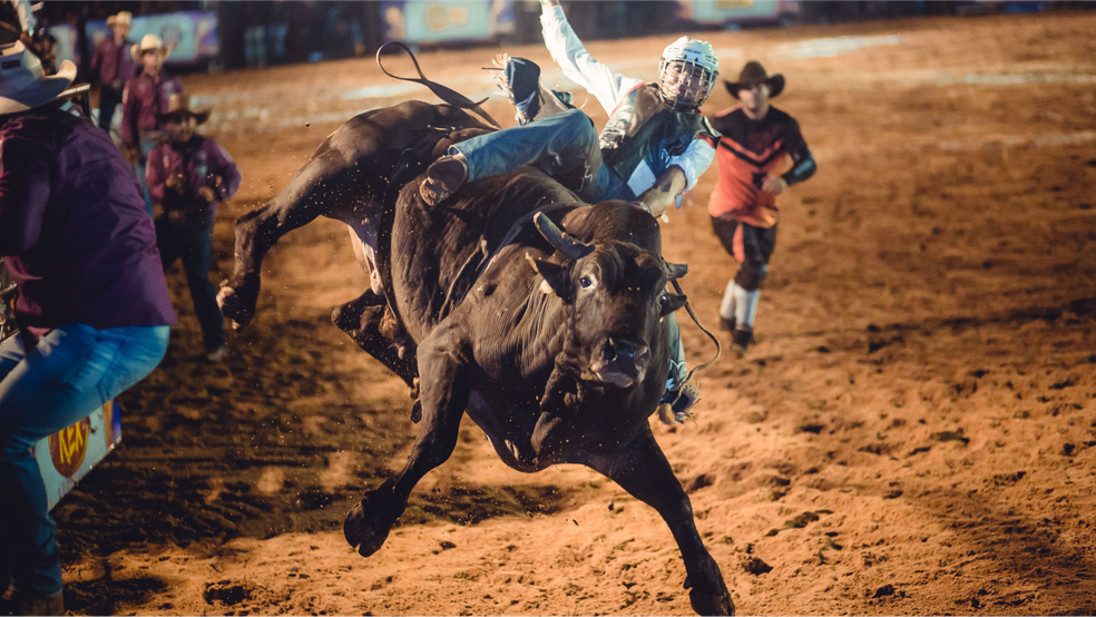 Lavras Rodeo Festival 2019. O maior Circuito Sertanejo do Sul de Minas ...