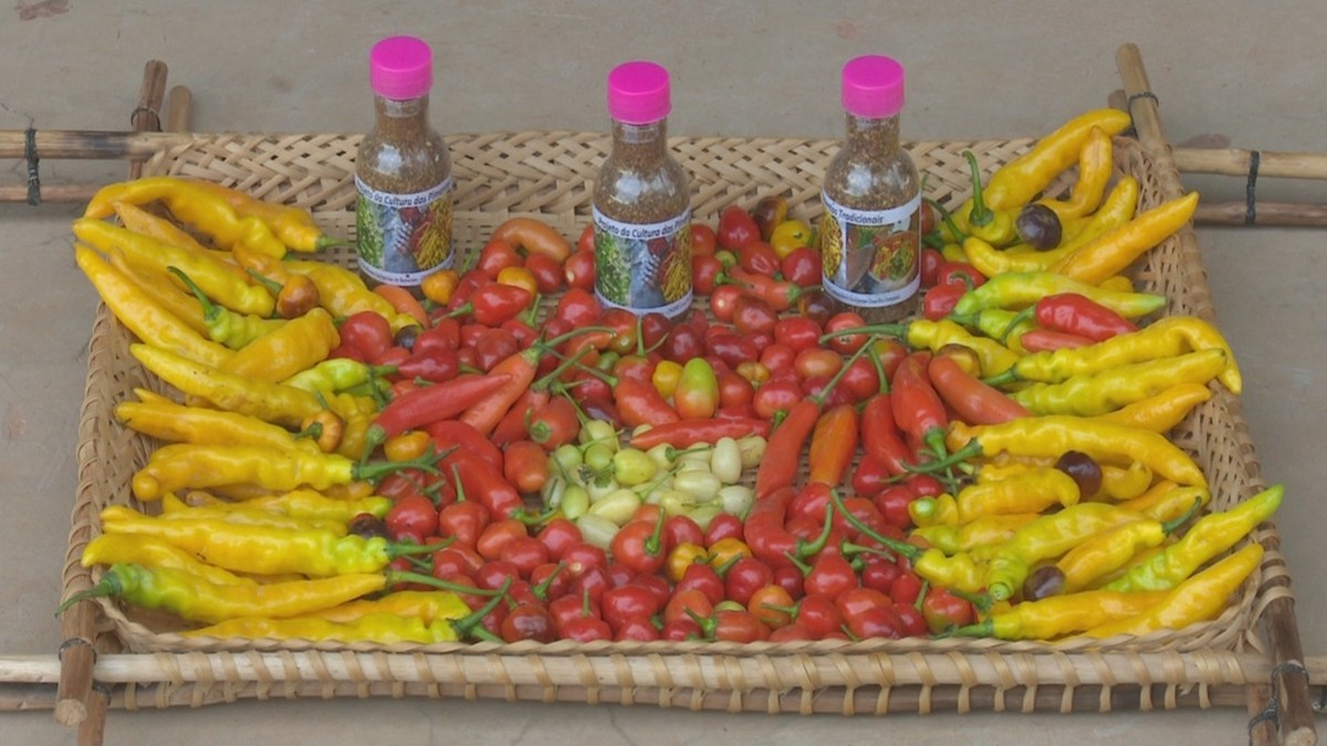 Comunidade indígena é referência na produção de pimenta em Roraima ...