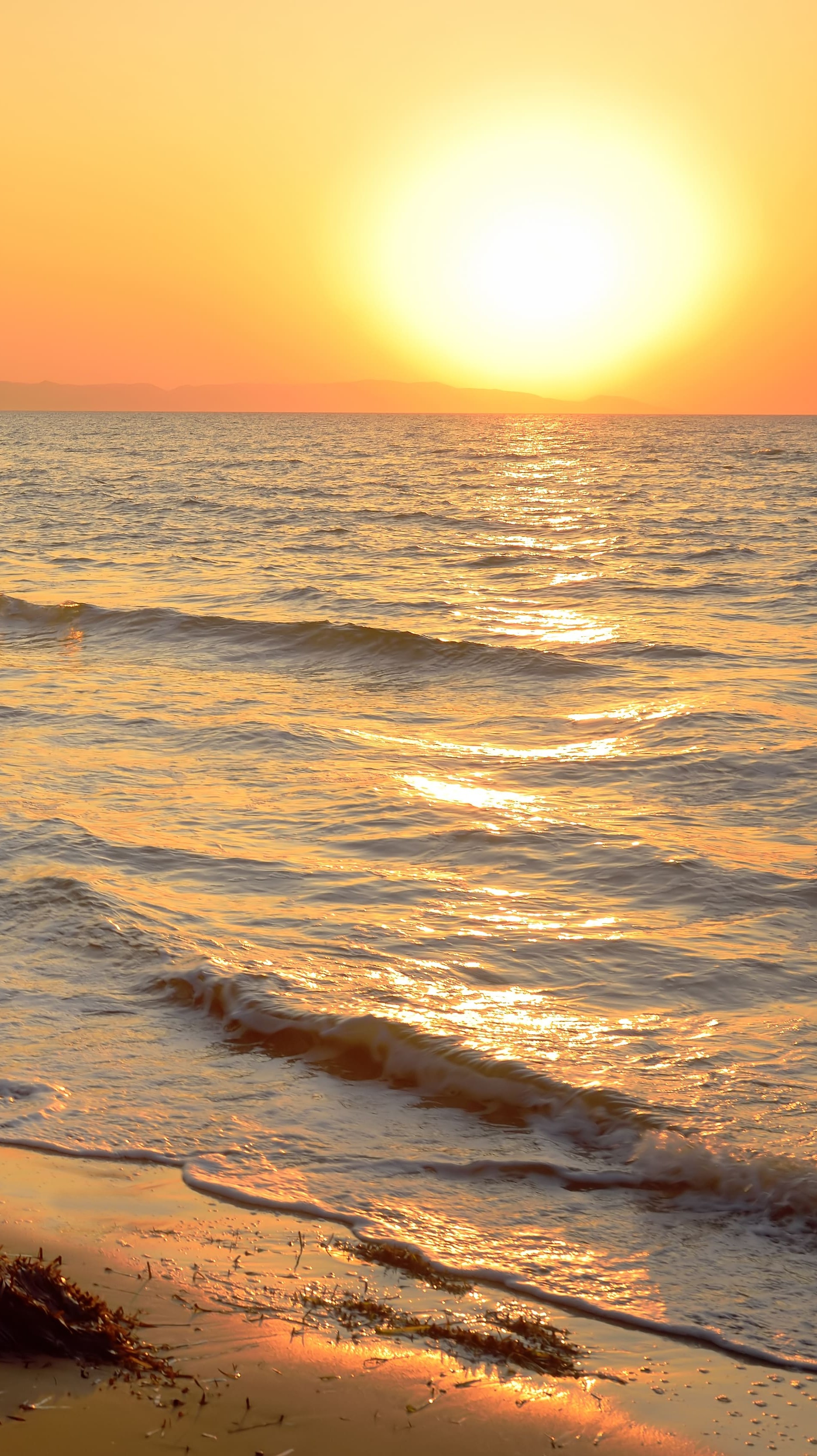 Curiosidades que você precisa saber sobre o verão | verao rpc | Rede Globo
