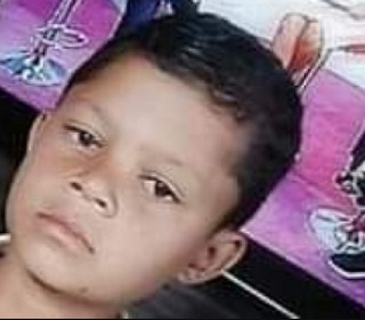 Menino de 8 anos morre atropelado após cair de caminhão em movimento em ...