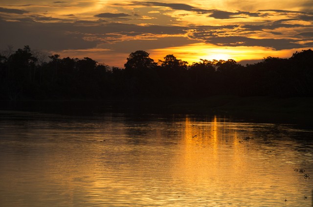 Fundo Amazônia já destinou R$ 1 bi para 100 projetos de preservação ...