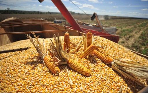 Datagro prevê exportação de 40 milhões de toneladas de milho em 2019 ...