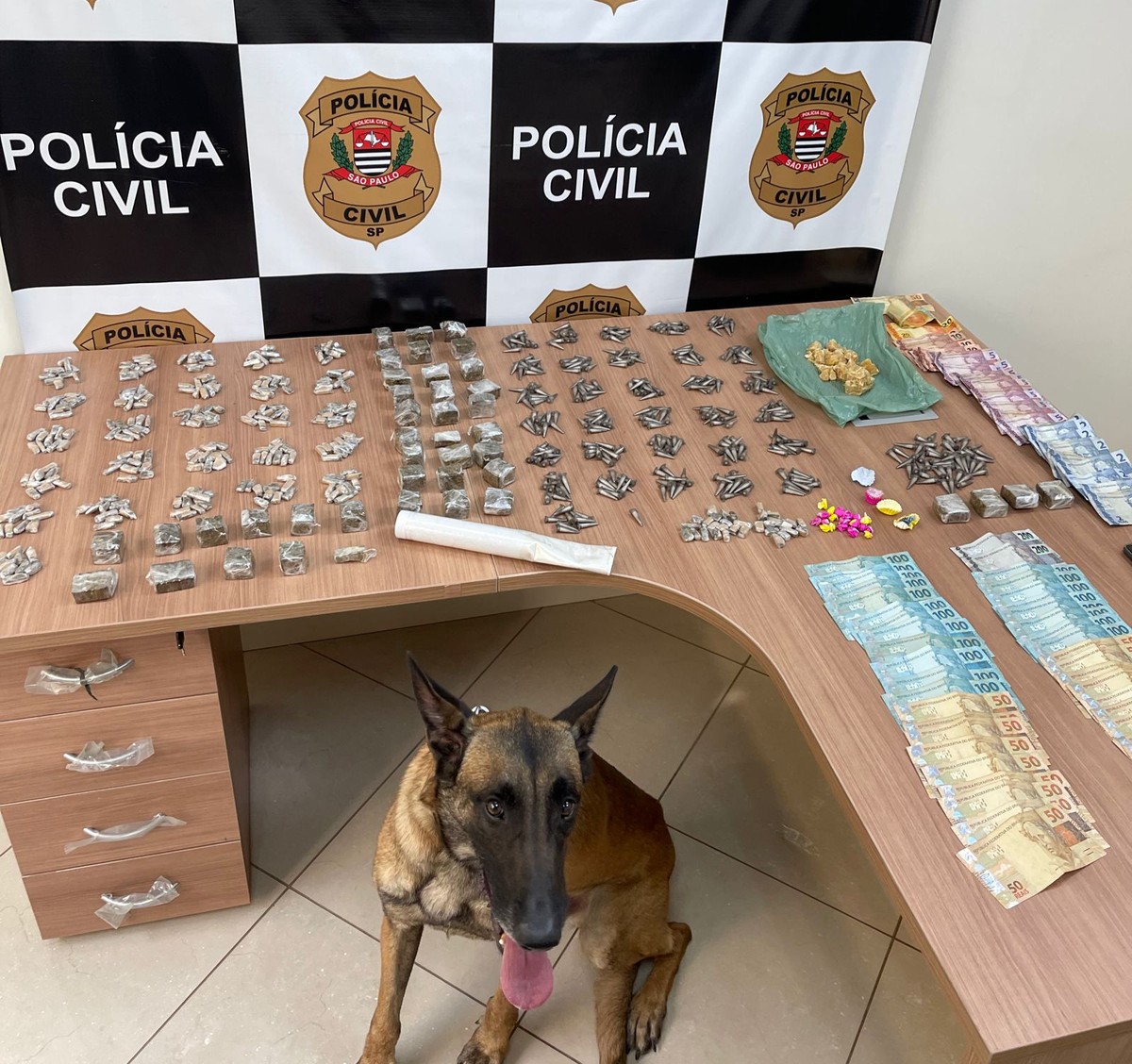 Após Polícia Encontrar Drogas Em Baia De Animais Quatro Pessoas São