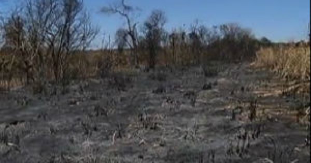 G1 - Queimadas controladas são proibidas até fim de setembro em MS ...