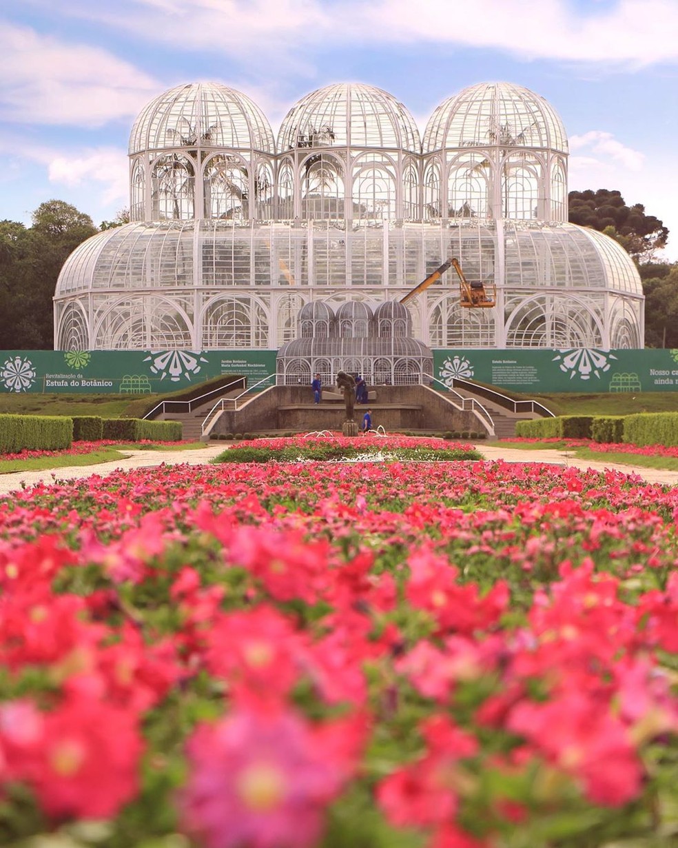 Veja fotos que comprovam que a primavera em Curitiba é encantadora ...