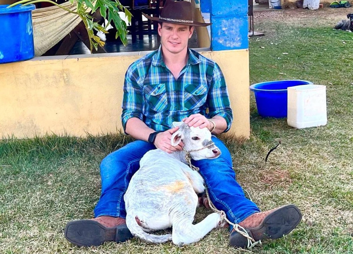 Para Gustavo, do BBB 23, é importante 'pretendentes gostarem de bichos ...