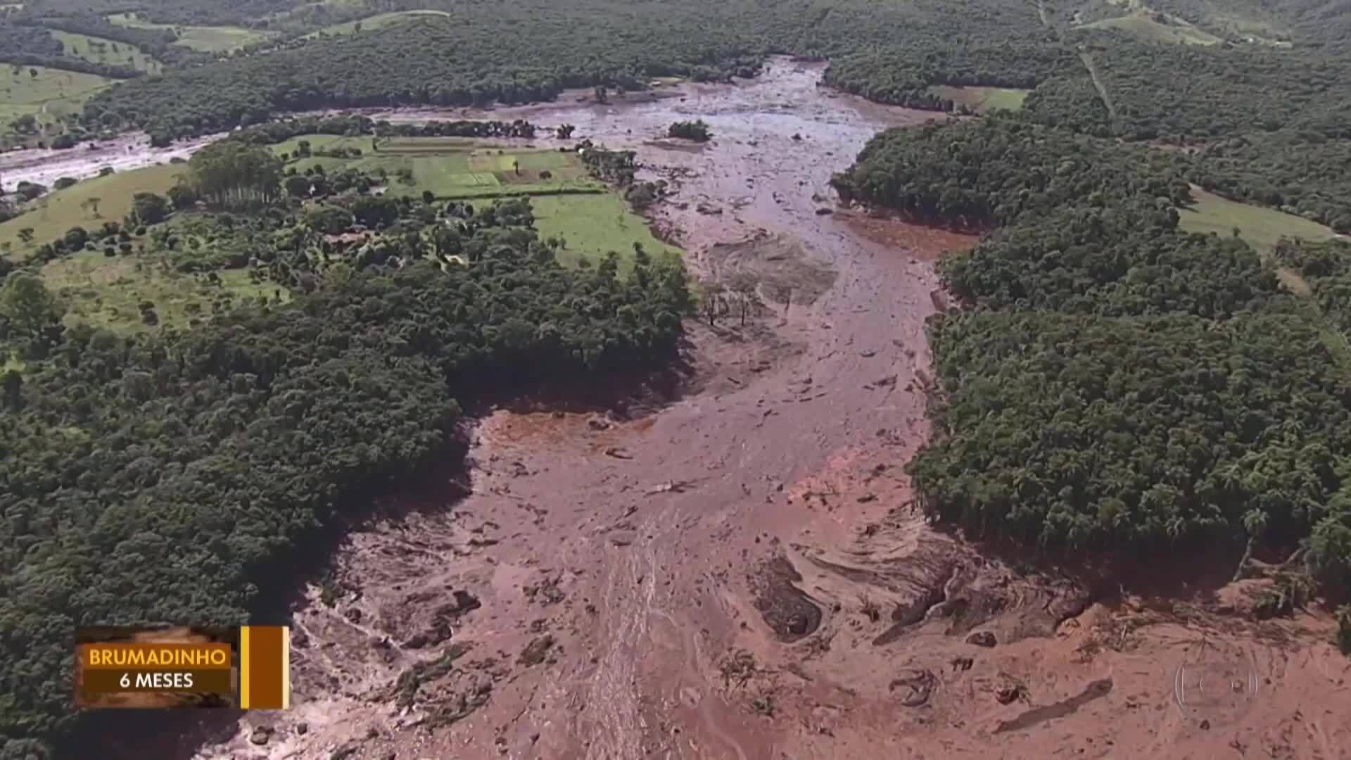 Brumadinho 6 meses: reveja reportagens sobre a tragédia | Minas Gerais | G1