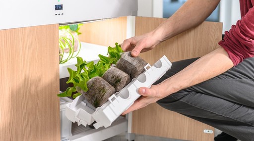 Esta horta circular permite o cultivo de vegetais dentro de casa