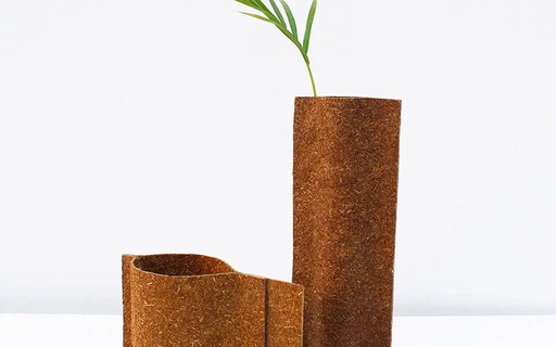 Designer cria material biodegradável a partir de folhas de pinheiro ...