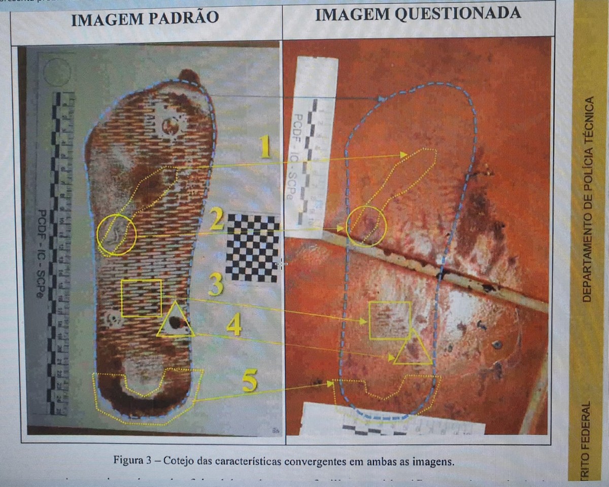 Sobrinho é Preso No Df Suspeito De Matar Tia Com 11 Facadas Crime é