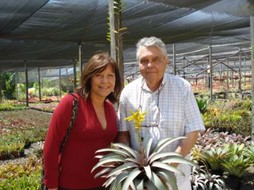 Belisa Ribeiro revela personagens inusitados em série de TV - Patrícia ...