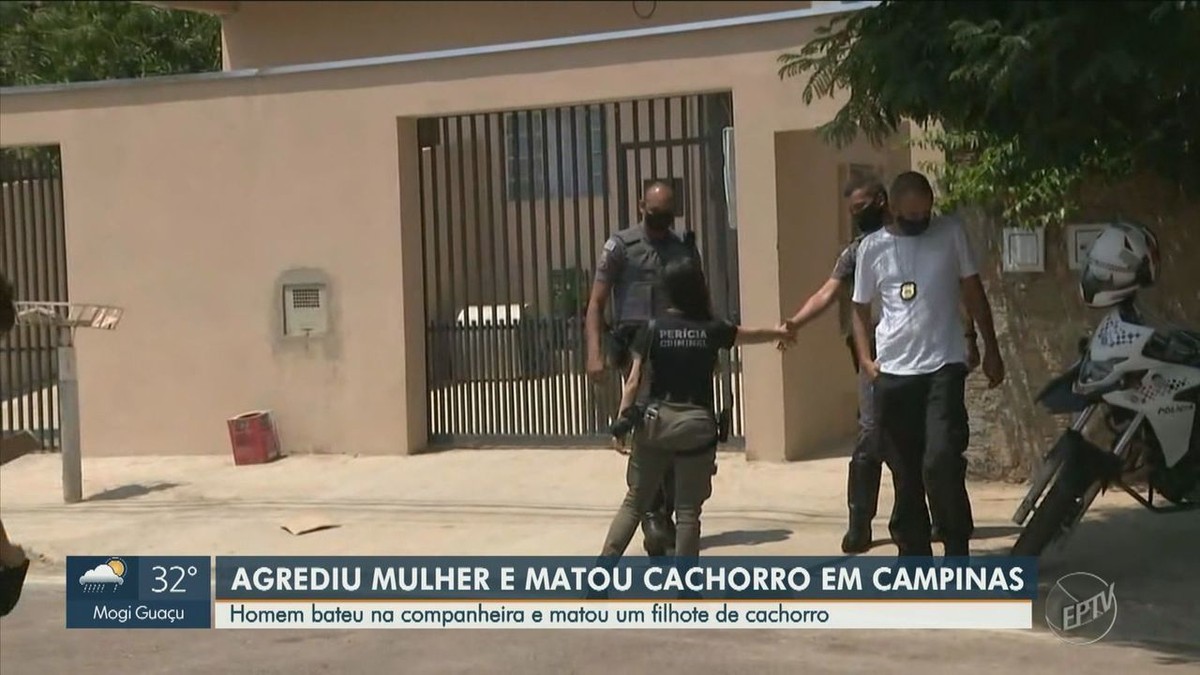 Homem é Preso Em Flagrante Após Agredir Mulher E Matar Cachorro Dela Em