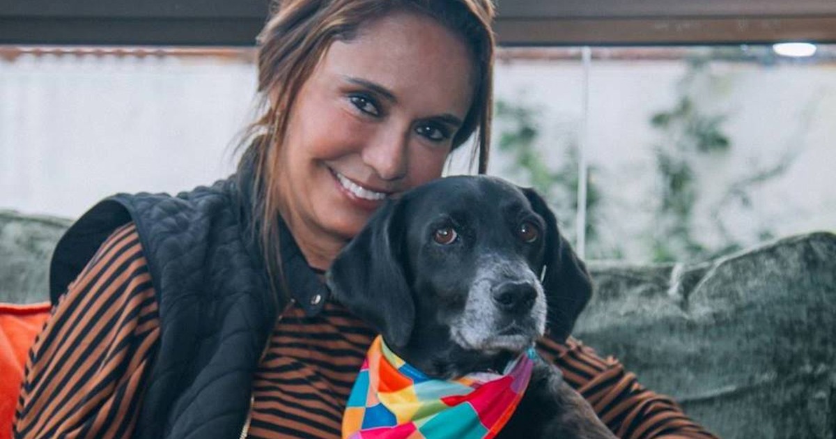 G1 - Florianópolis elege vereadora após 8 anos sem mulheres na Câmara ...