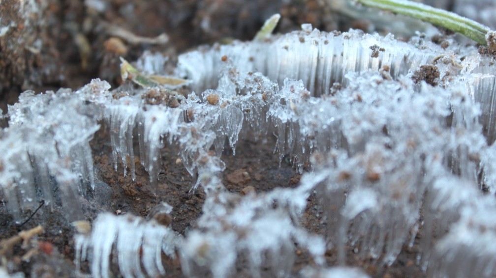 Três cidades de SC registram temperaturas negativas; serra tem mínima ...