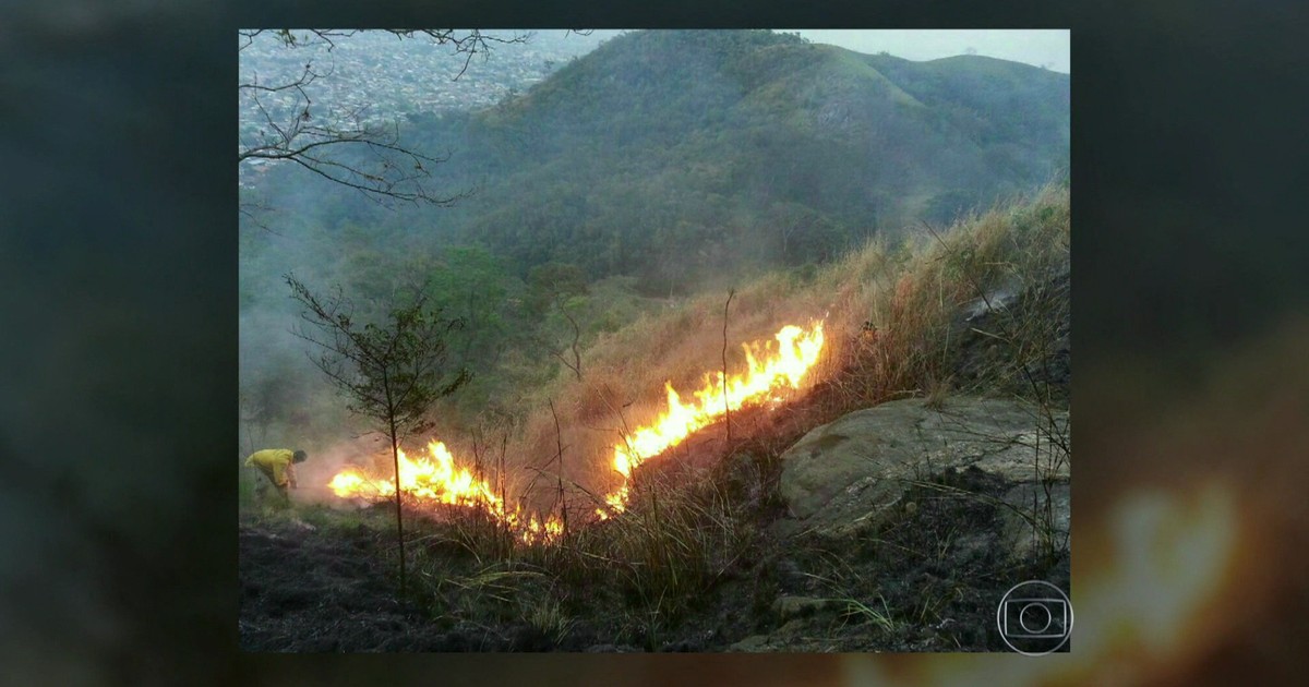 G1 - Incêndio destrói mata em parques estaduais florestais do Rio ...