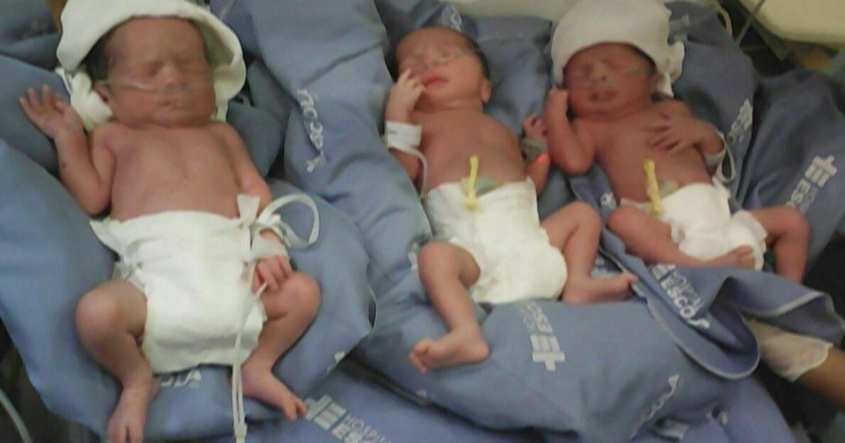 G1 - Após ganhar book fotográfico, gaúcha dá à luz trigêmeas em Pelotas ...