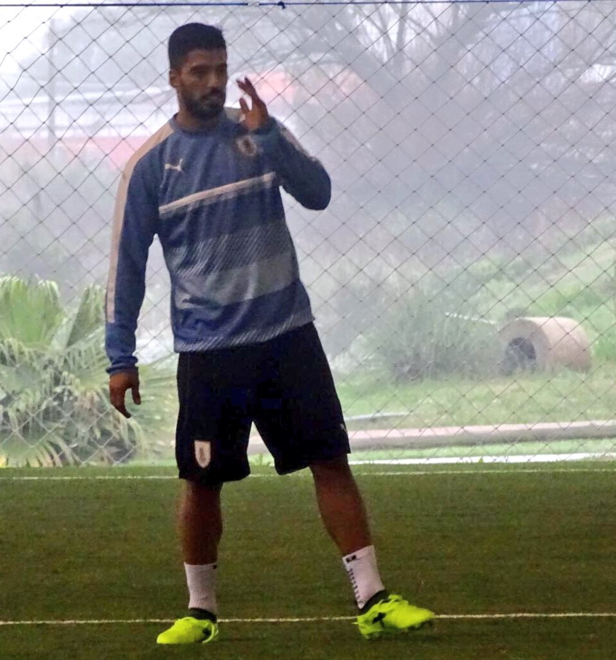 Suárez treina no Uruguai, e médico acende esperança: "Eu jamais ...