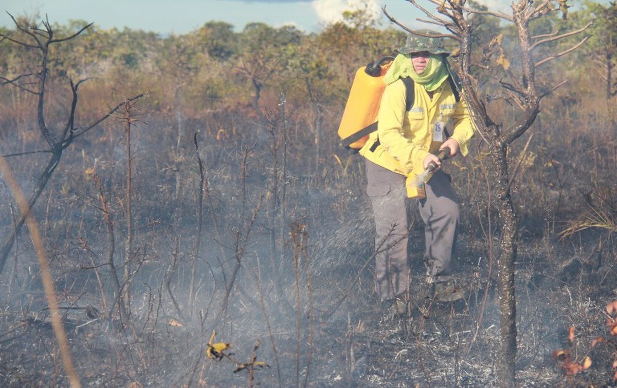 ICMBio faz 2ª 'queima controlada' deste ano no DF; conheça técnica para ...