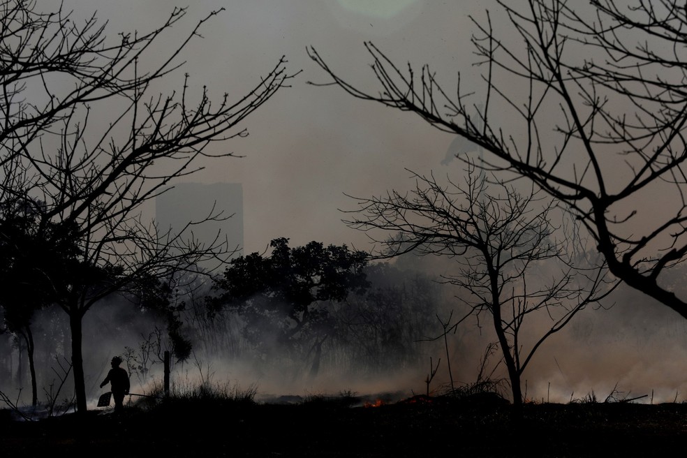 Tempo seco, La Niña e ação humana: Entenda a recorrência de incêndios ...