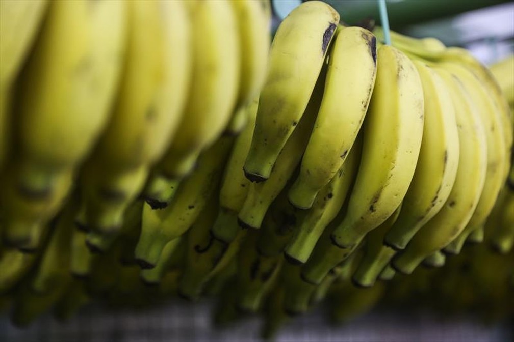 Sacolões da Família fazem promoção com quilo de frutas e verduras a R ...