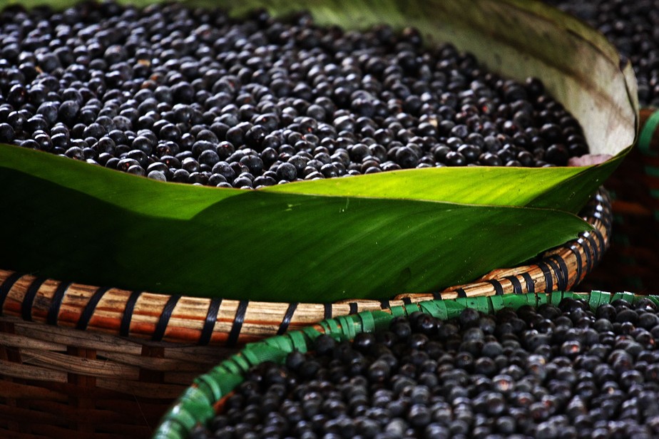 Açaí pode atuar na prevenção de doenças do coração | Pará | G1