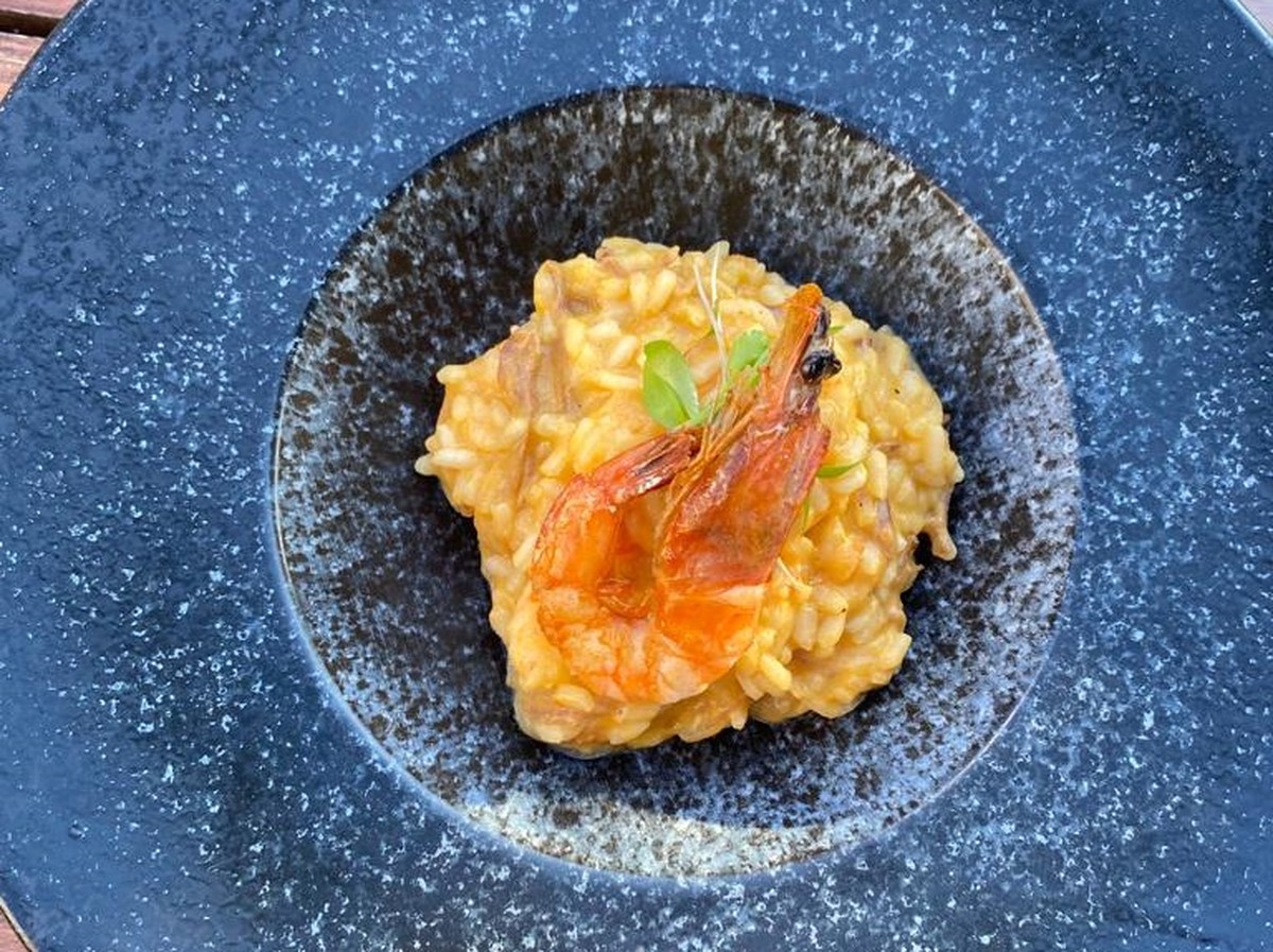 Aprenda como fazer receita de risoto de camarão e carne de sol ...
