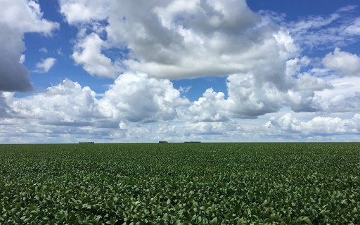 Fundo lança desafio de inovação para sustentabilidade da soja no ...