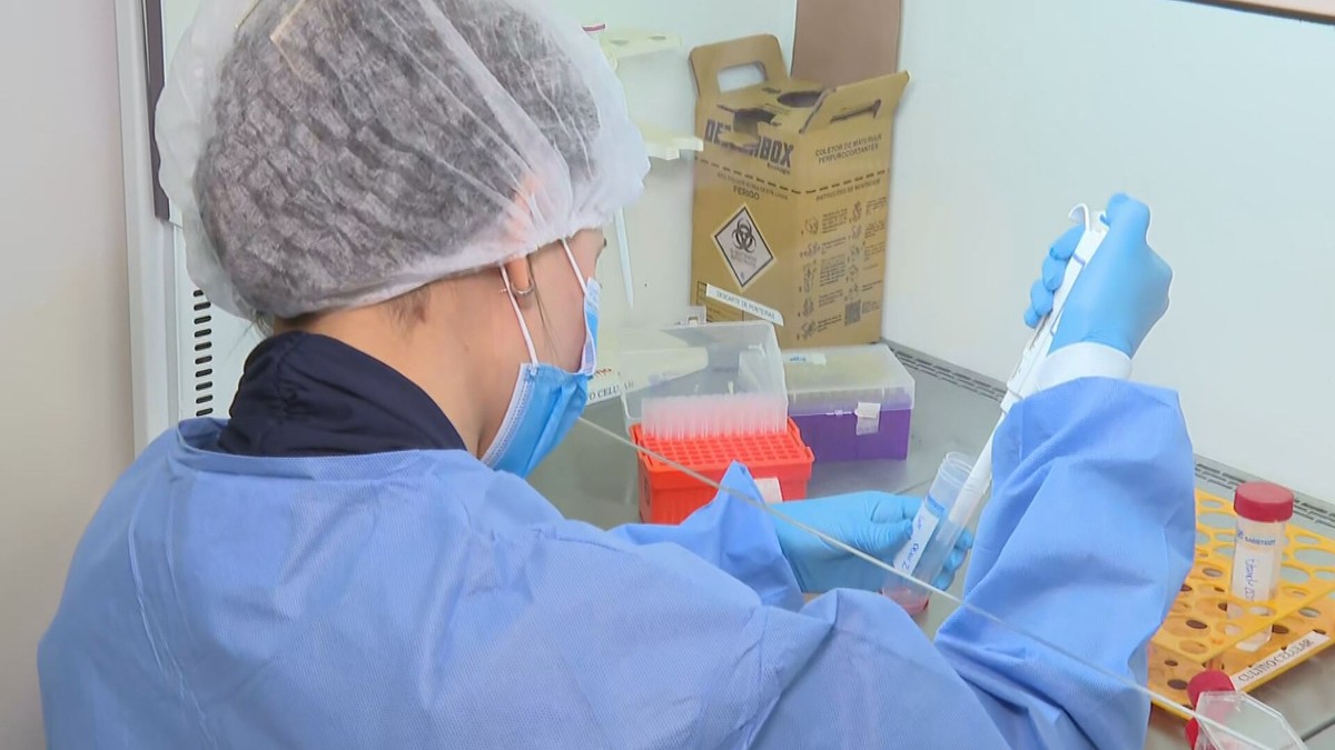 UFMG usa vacina contra varíola humana para desenvolver imunizante ...