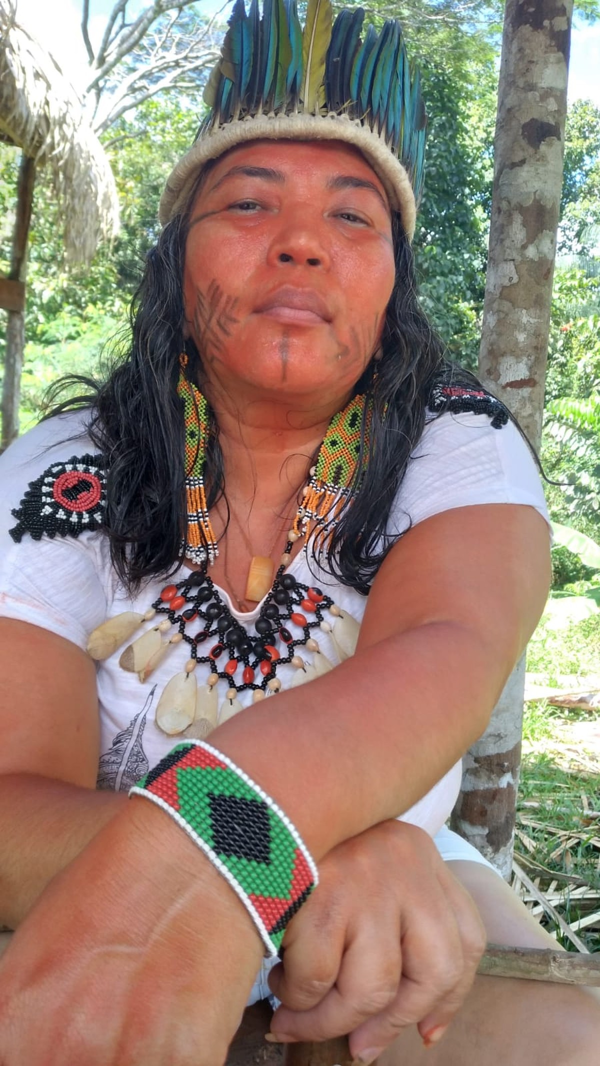 Índio ou indígena? Entenda a diferença entre os dois termos | Educação | G1