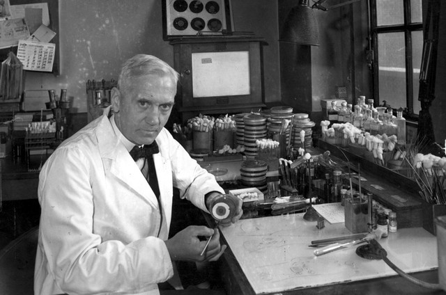 Em ciência, o acaso só funciona quando o cientista tem preparo e ...