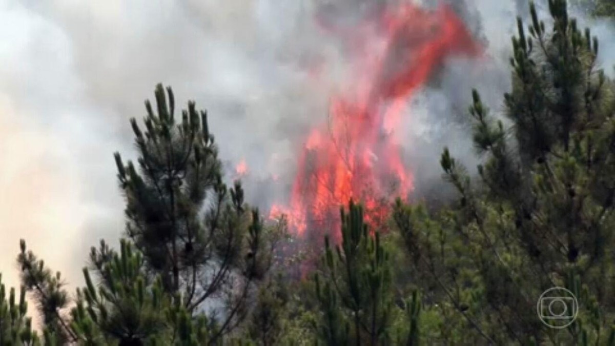 Calor e incêndios florestais também castigam diversos países na Europa ...