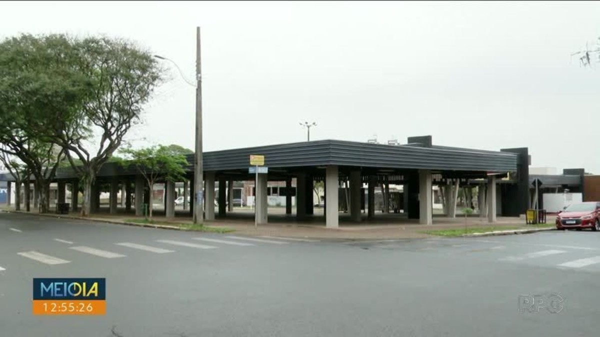 Feira de flores e plantas ornamentais começa nesta neste sábado (12) em ...