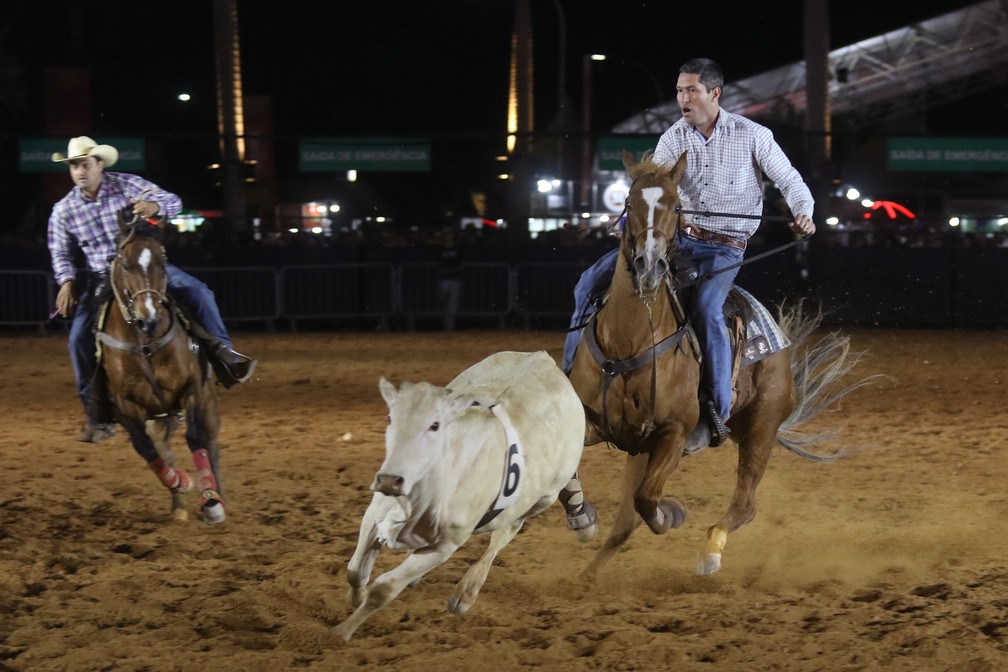 Segunda noite do Jaguariúna Rodeo Festival; FOTOS | Rodeio de ...