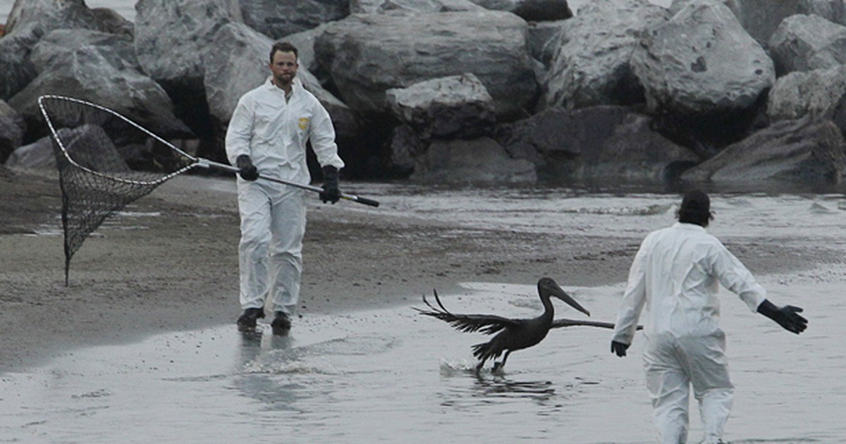 G1 - Maré negra se espalha por raio de 320 quilômetros do duto ...