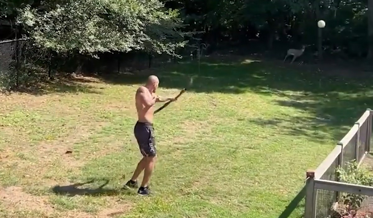 Vídeo: Alex Poatan acerta flecha em bola em movimento | combate | ge