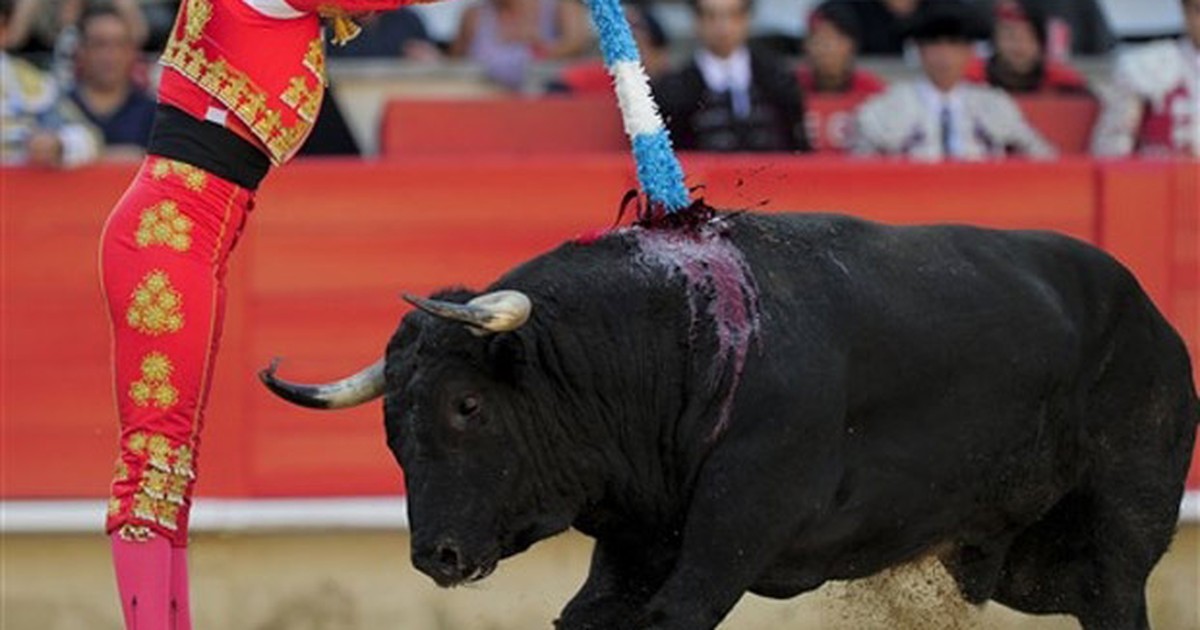 G1 - Primeira tourada após banimento tem protestos contra e a favor ...