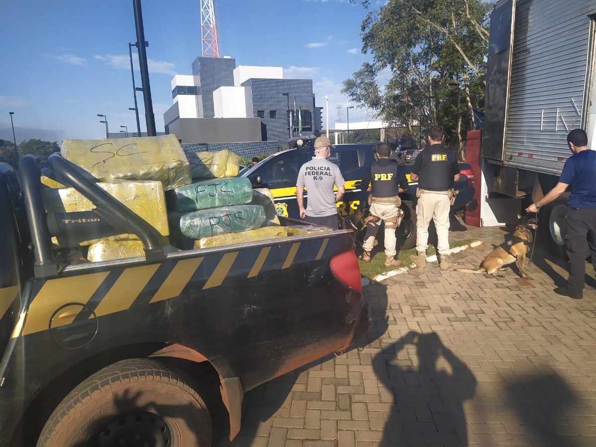 Homem é Preso Após Ser Flagrado Com Quase 1 Tonelada De Maconha Em
