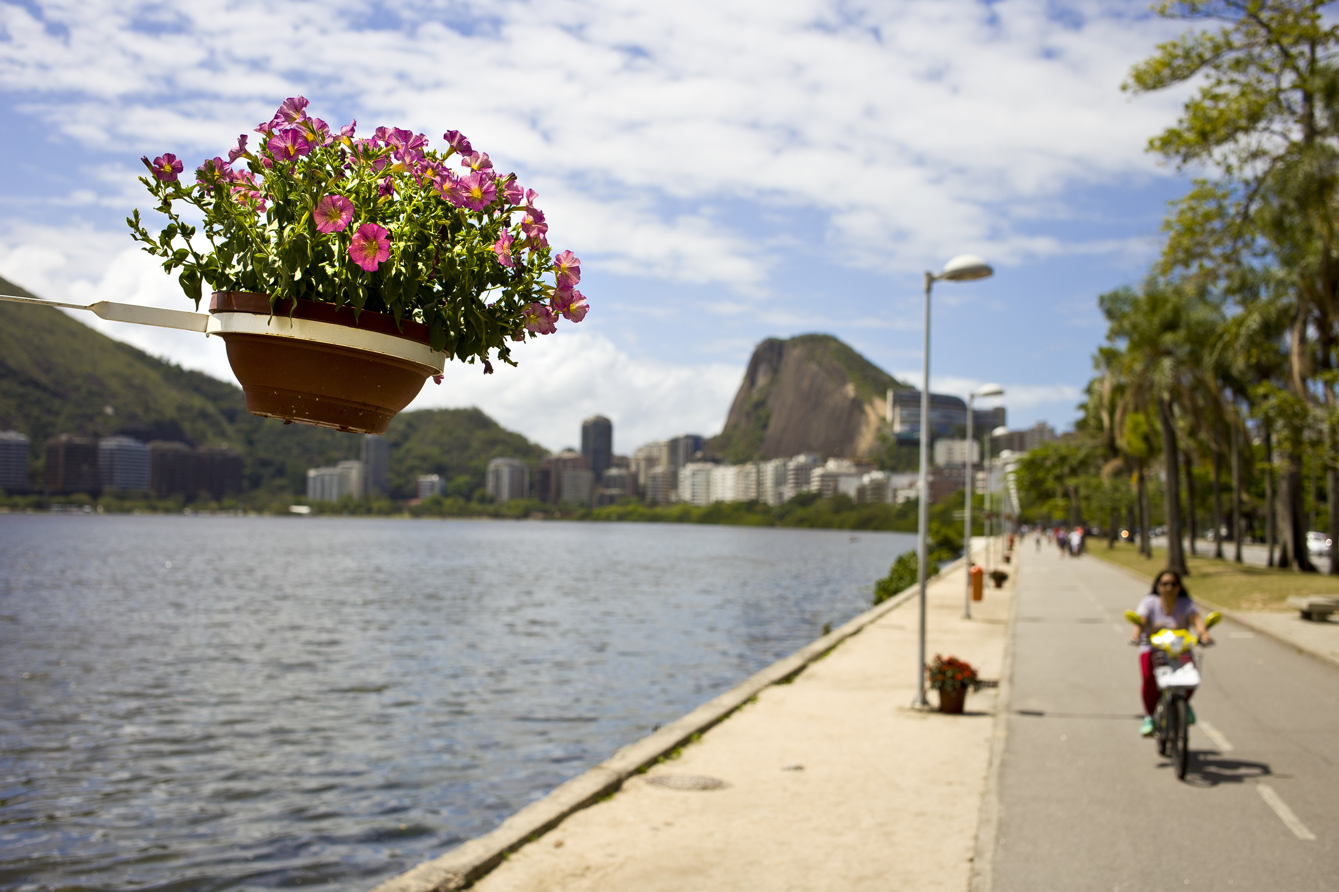 Para celebrar a primavera, prefeitura instala 100 vasos de flores na ...