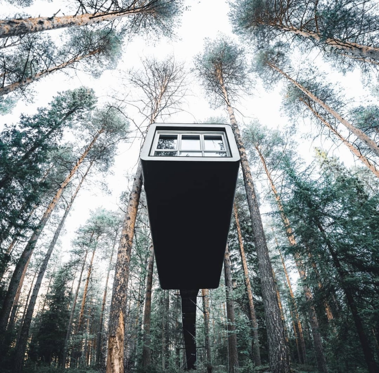 Treehotel, na Suécia, proporciona experiência com quartos na árvore ...