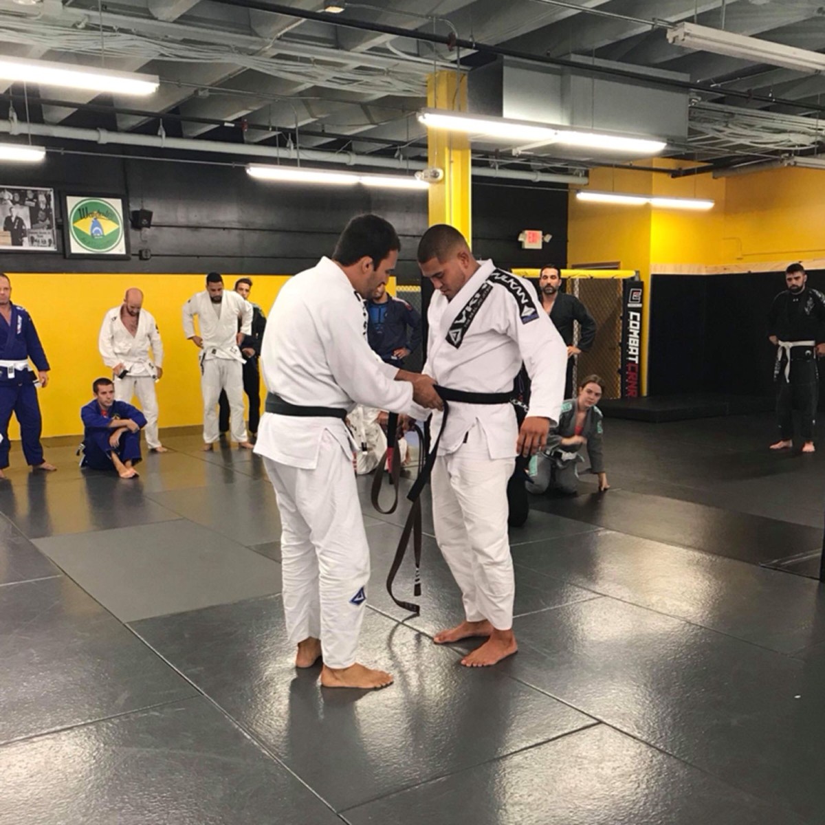 Curtinhas: após finalizar Chiesa, Anthony Pettis recebe faixa preta de ...