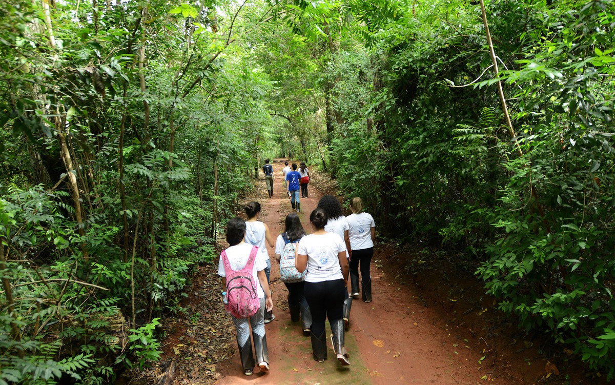 Mata Santa Genebra recebe inscrições para última visita monitorada do ...