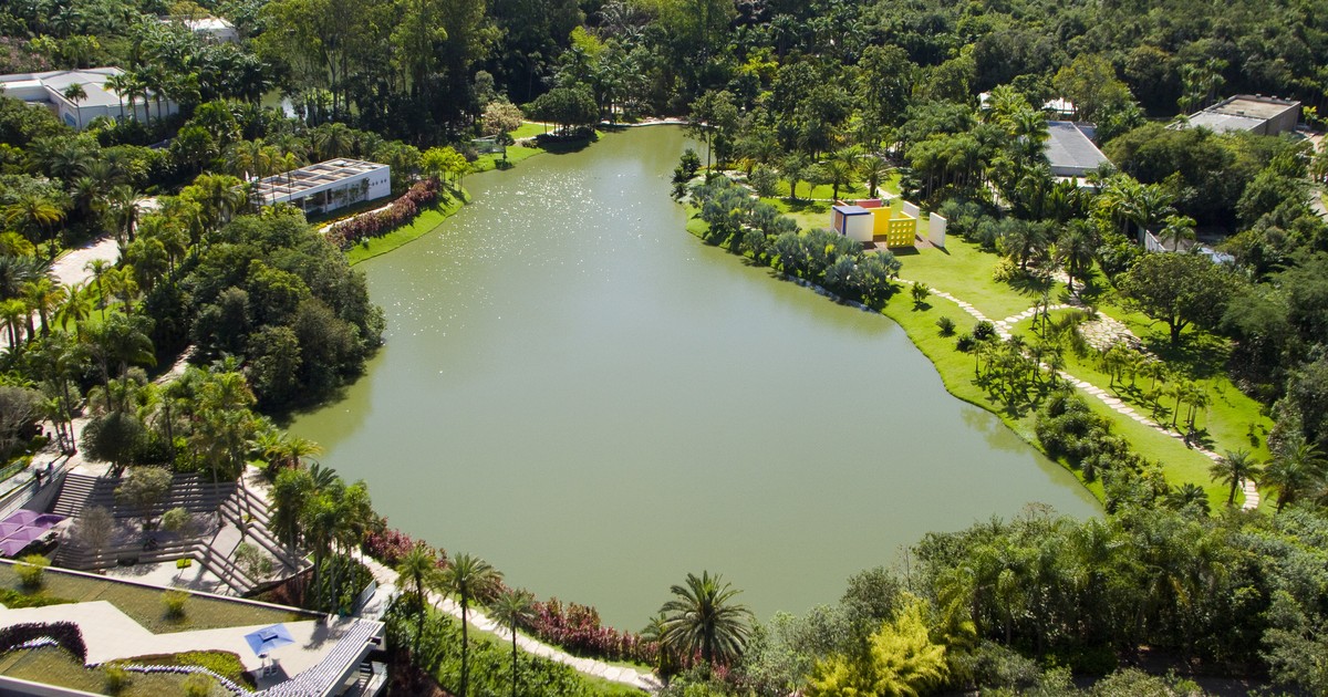 G1 - Inhotim tem shows e exposições para comemorar 2 milhões de ...