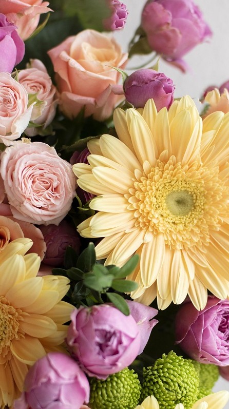 13 flores comestíveis para incluir em receitas