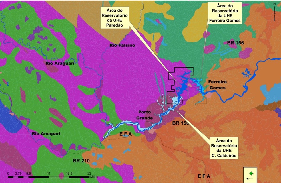 Vídeo mostra natureza morta em área represada no AP; ribeirinhos acusam ...