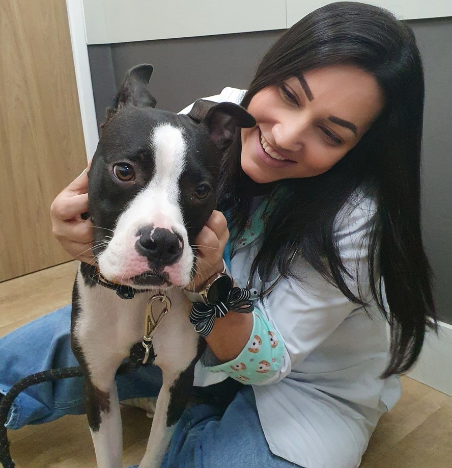 Saúde animal: pode dar comida de gente para pet? Veterinária explica