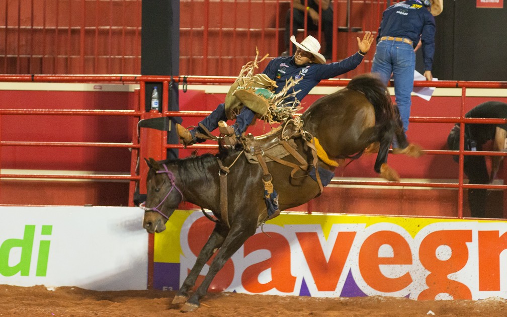 Barretos 2019: segunda noite de montaria do Rodeio Internacional ...