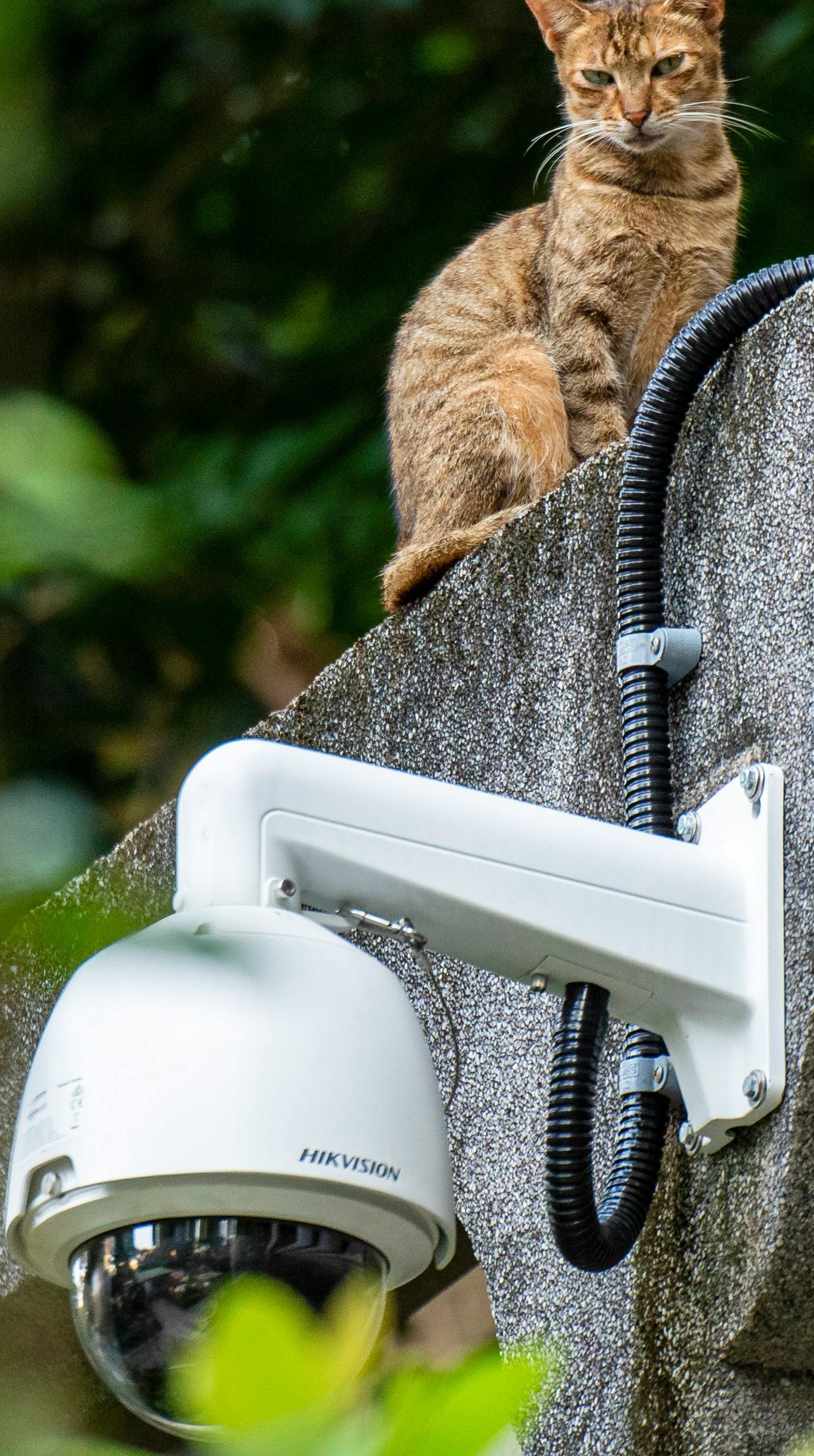 Câmera de segurança Wi-Fi: 7 opções para proteger a casa