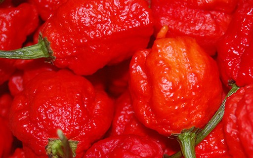 Pimenta quebra recorde e recebe o título de mais ardida do mundo - GQ ...