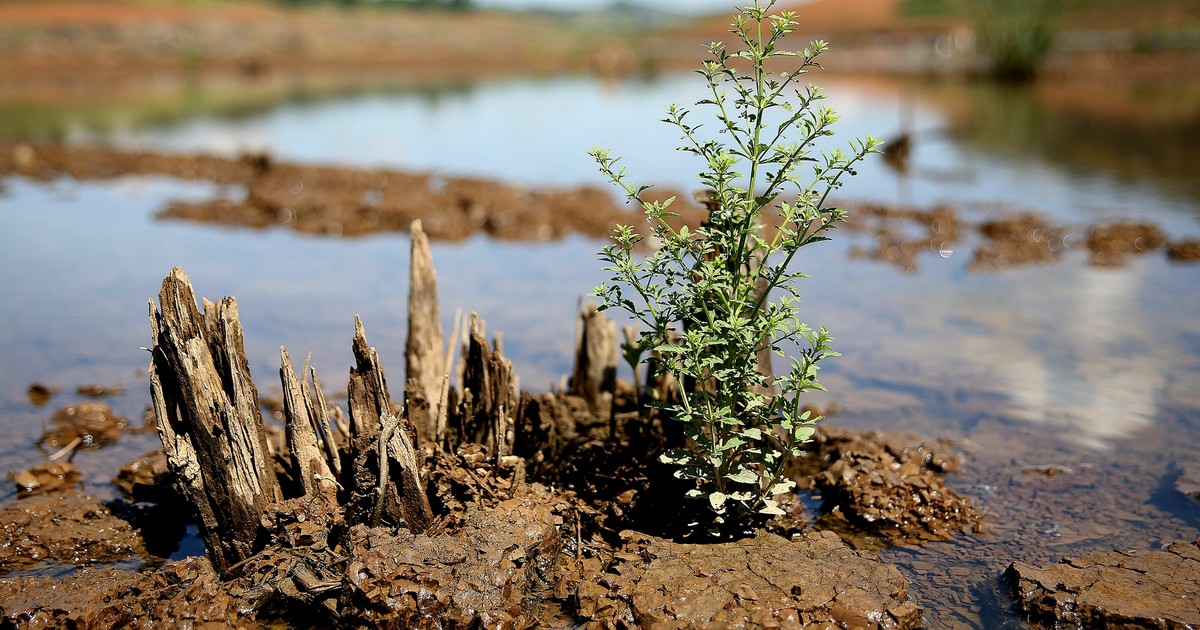 G1 - Governo está em fase final de projeto para reverter curso de rio ...